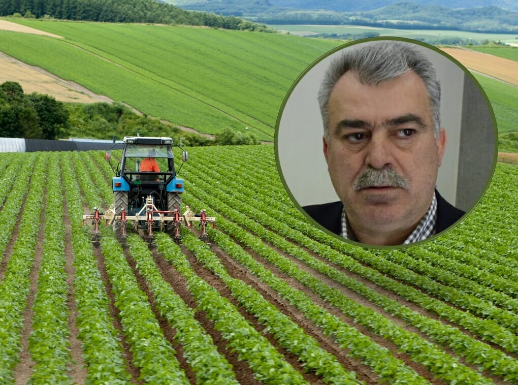 Α. Πουλάς: Εκτός η ελαιοκαλλιέργεια από το πρόγραμμα «Αναδιάρθρωση των ...